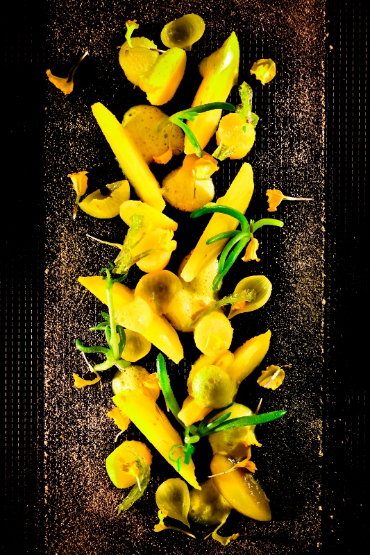 La betterave jaune se conjugue avec la mer – Joelle Rochette